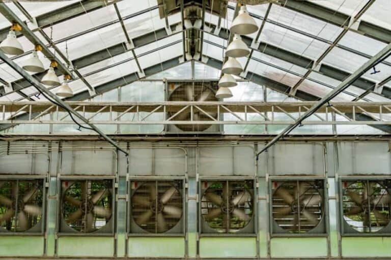 How to Heat a Greenhouse With Solar Panels? - Solar Living Savvy