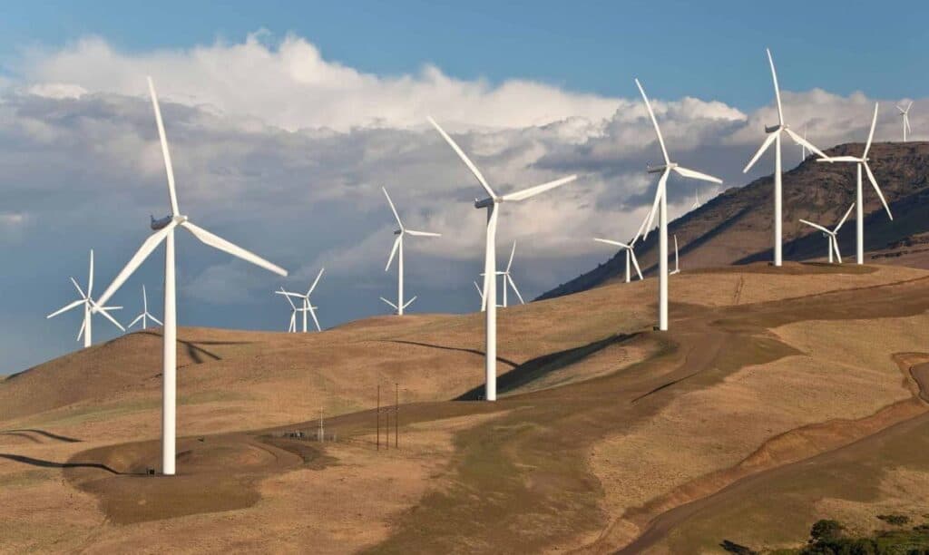 Solar and Wind Energy: Everything There Is to Know - Solar Living Savvy