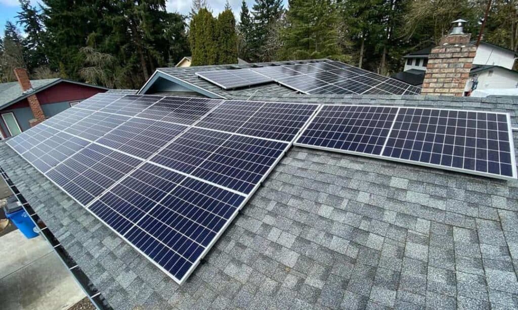 LG vs Sunpower Solar Panels: Everything You Need to Know - Solar Living ...