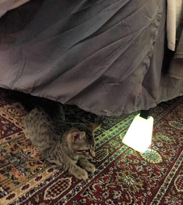 17 Easy Diy Bed Risers To Make - Solar Living Savvy