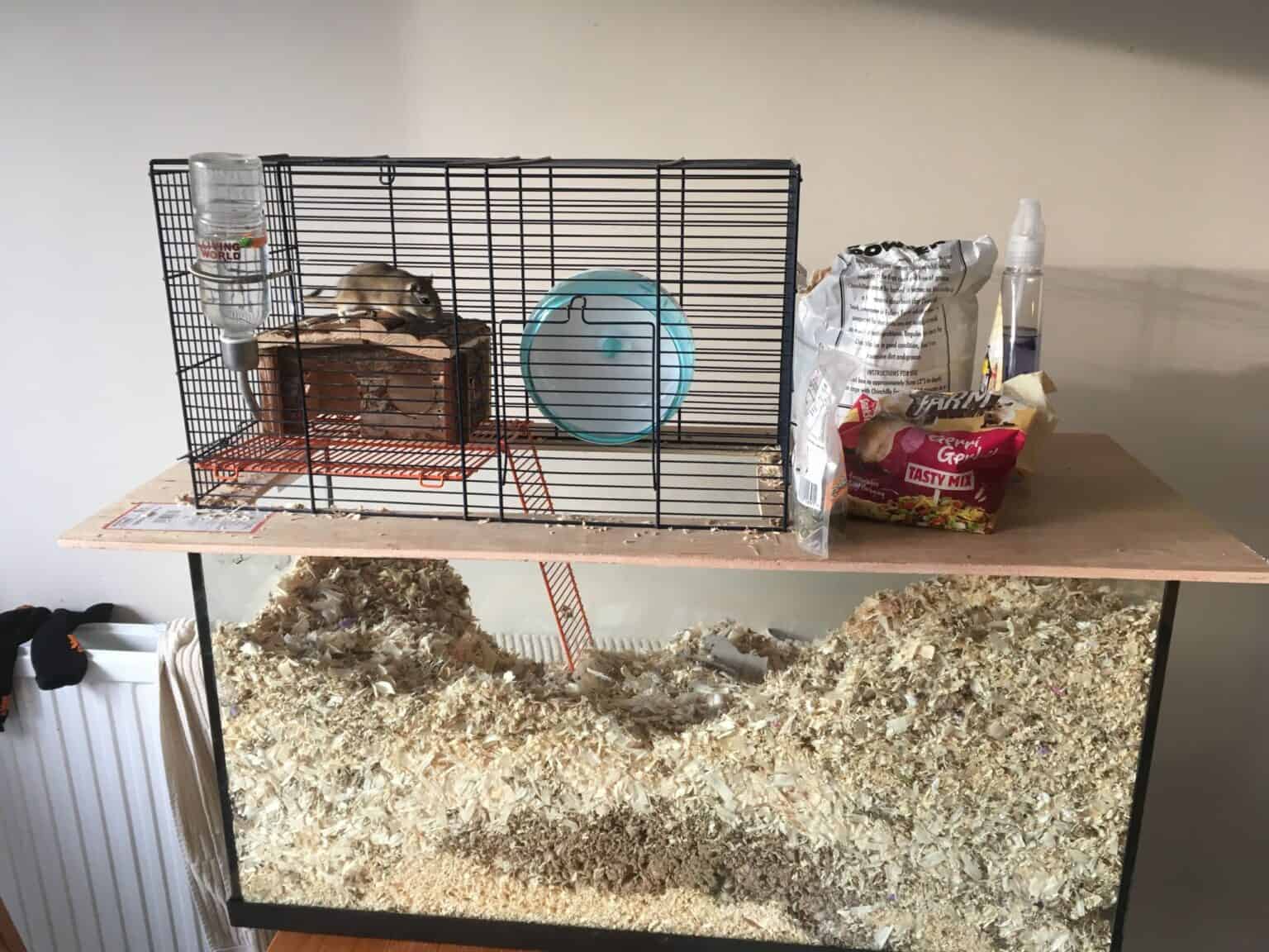 17 Easy Diy Rat Cage Ideas - Solar Living Savvy