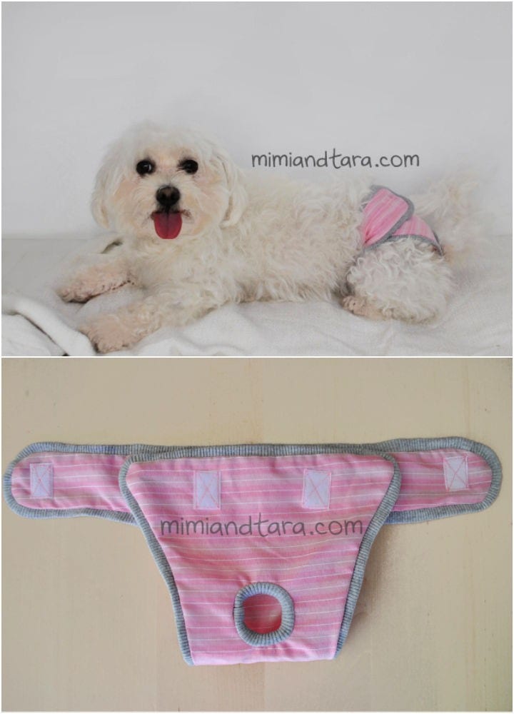 18 Diy Dog Diapers To Keep Your Furry Friend Comfortable - Solar Living Savvy