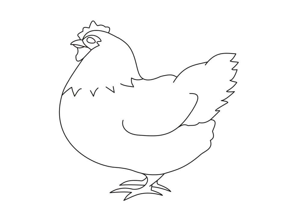 30 Easy Chicken Drawing Ideas How To Draw A Chicken - Solar Living Savvy