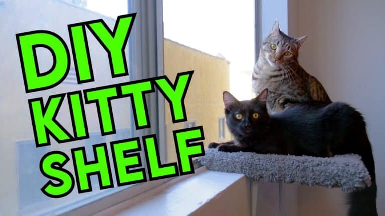 24 Easy Diy Cat Window Perch Ideas - Solar Living Savvy