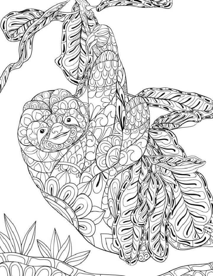 17 Free Sloth Coloring Pages For Kids And Adults - Solar Living Savvy
