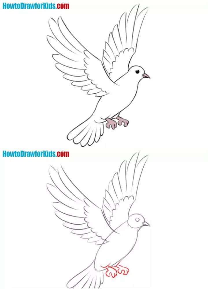 17 Easy Dove Drawing Ideas - Solar Living Savvy