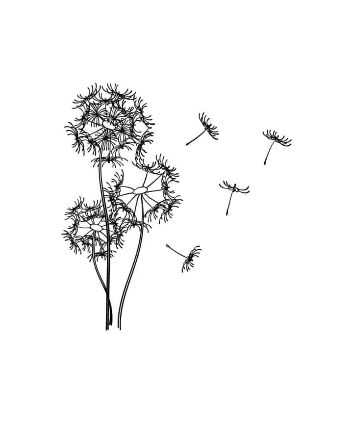 25 Easy Dandelion Drawing Ideas - Solar Living Savvy