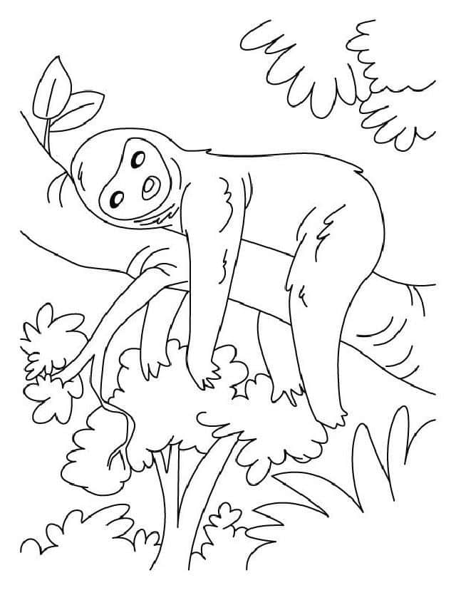 17 Free Sloth Coloring Pages For Kids And Adults - Solar Living Savvy