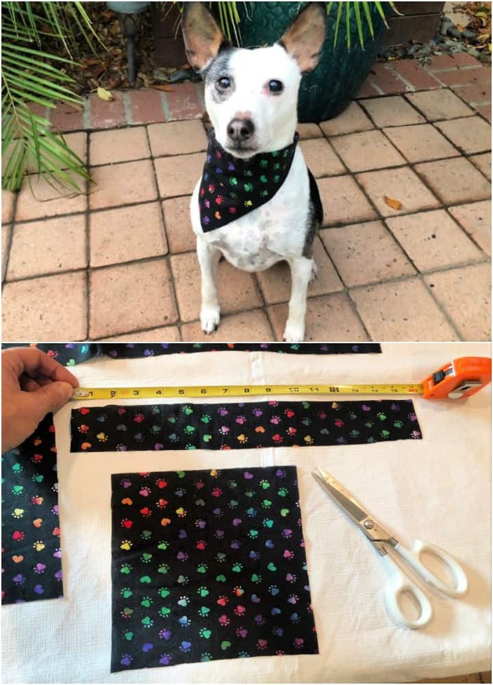 28 Easy Diy Dog Bandana Patterns - Solar Living Savvy