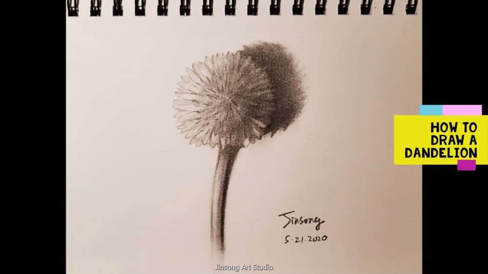 25 Easy Dandelion Drawing Ideas - Solar Living Savvy