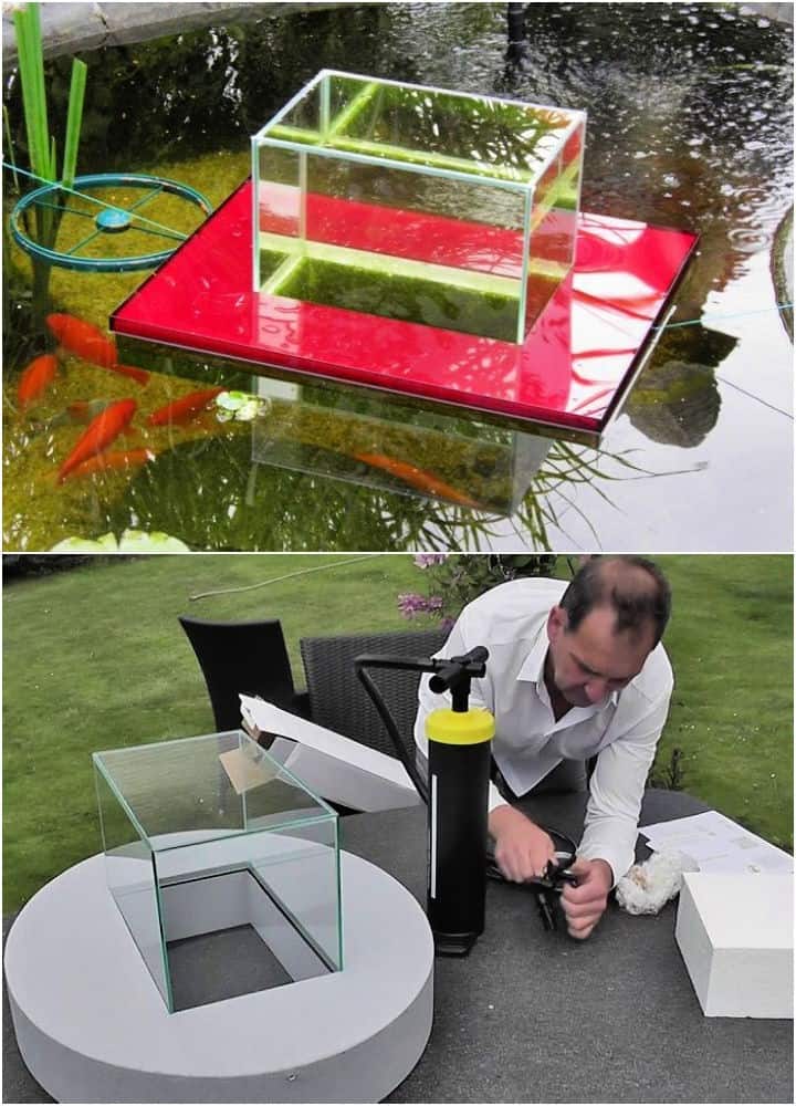 25 Free Diy Fish Tank Plans - Solar Living Savvy