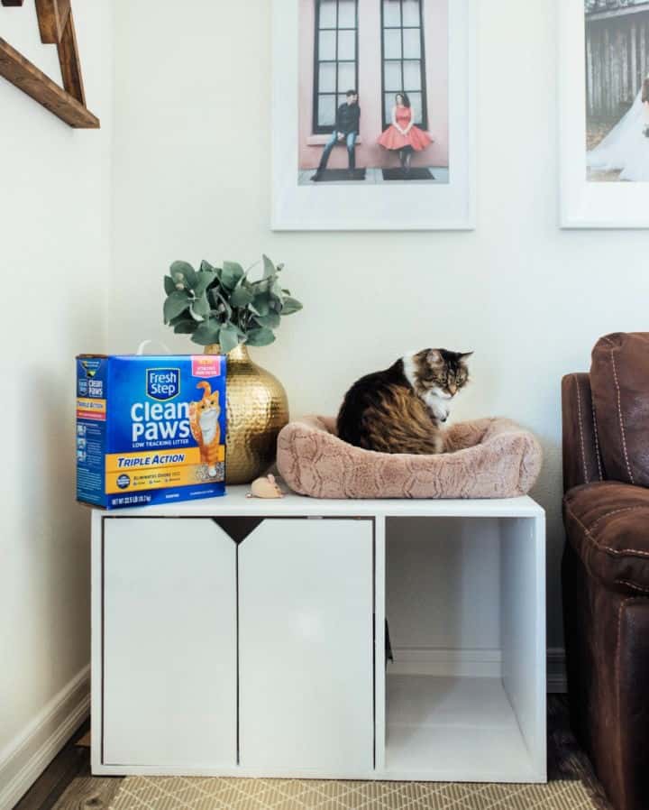 24 Diy Cat Litter Box Ideas + Hidden Litter Box - Solar Living Savvy