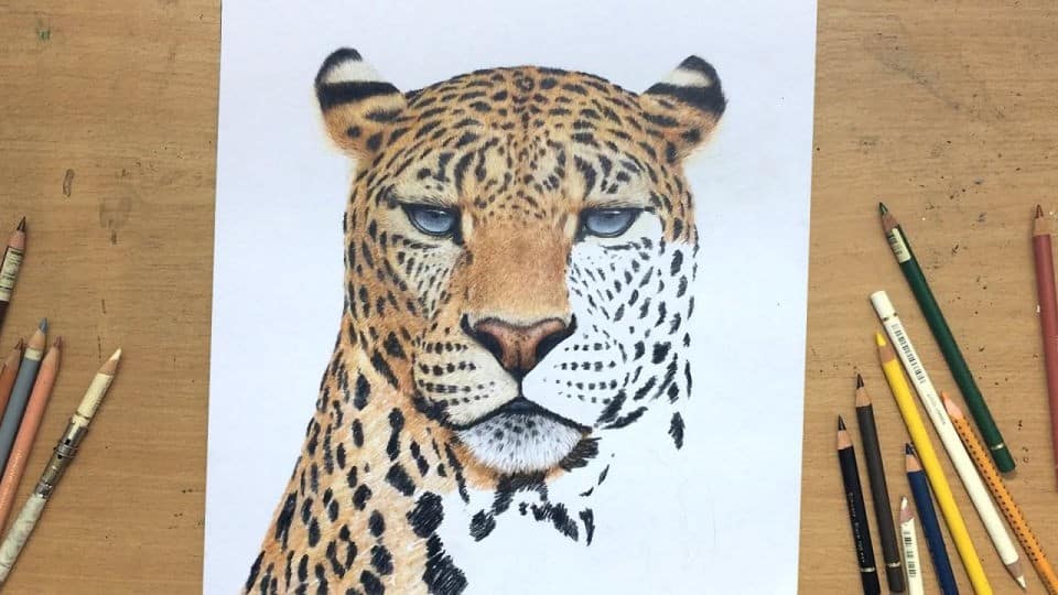 30 Easy Leopard Drawing Ideas - Solar Living Savvy