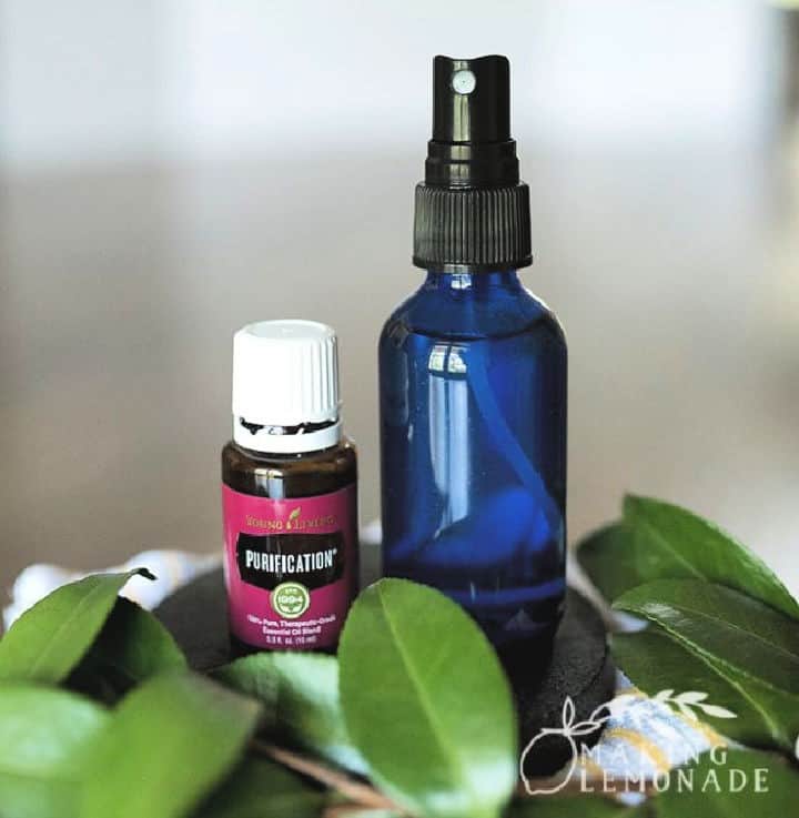 30 Homemade Diy Febreze Recipes - Solar Living Savvy