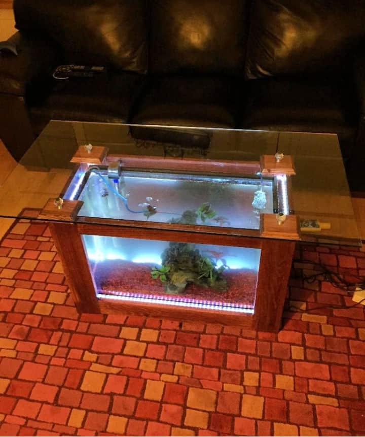 25 Free Diy Fish Tank Plans - Solar Living Savvy