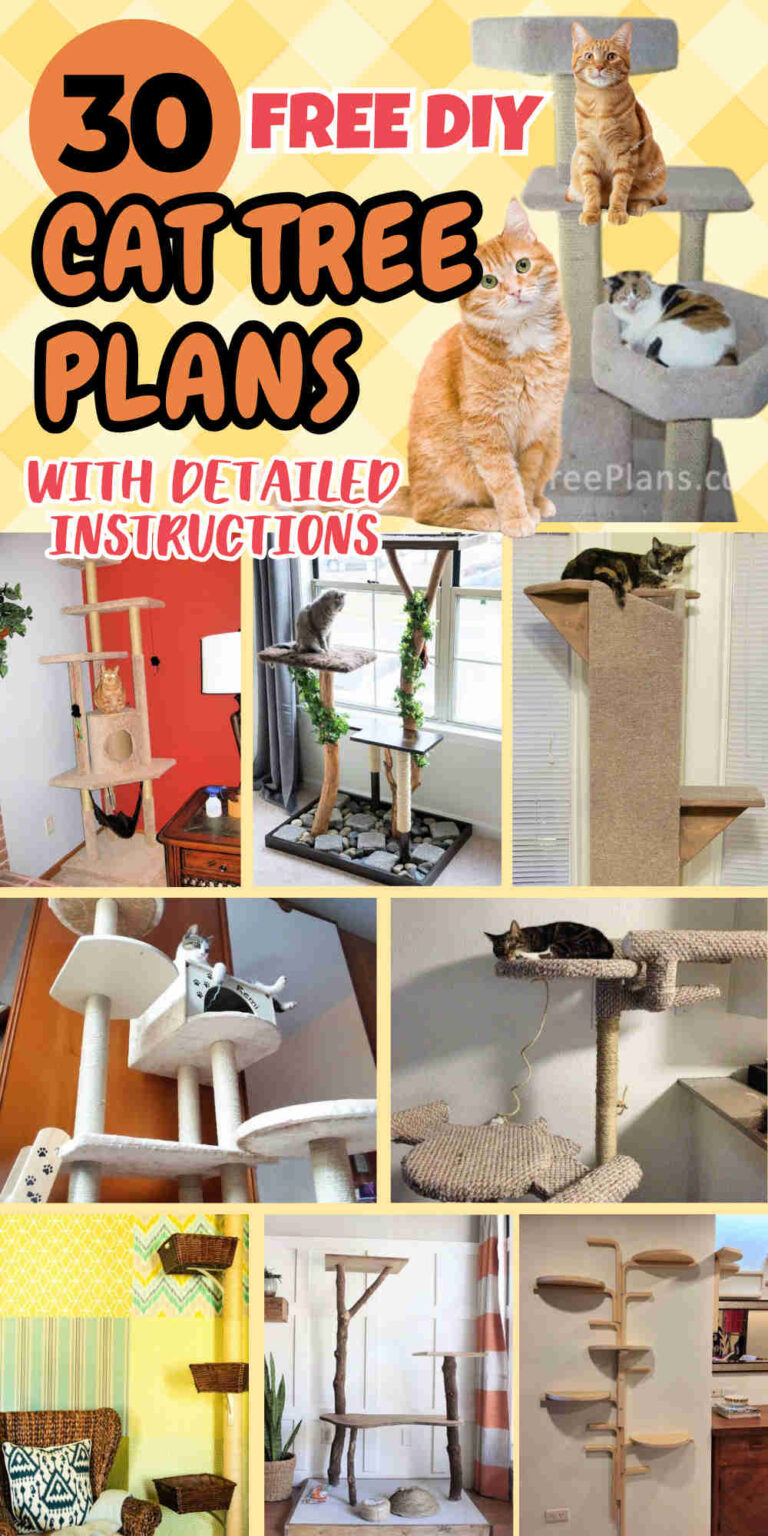30 Fun and Creative DIY Cat Trees for Your Feline Friends - Solar ...
