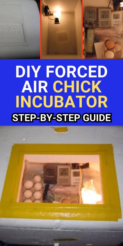 10 Steps To DIY Forced-Air Chick Incubator - Solar Living Savvy